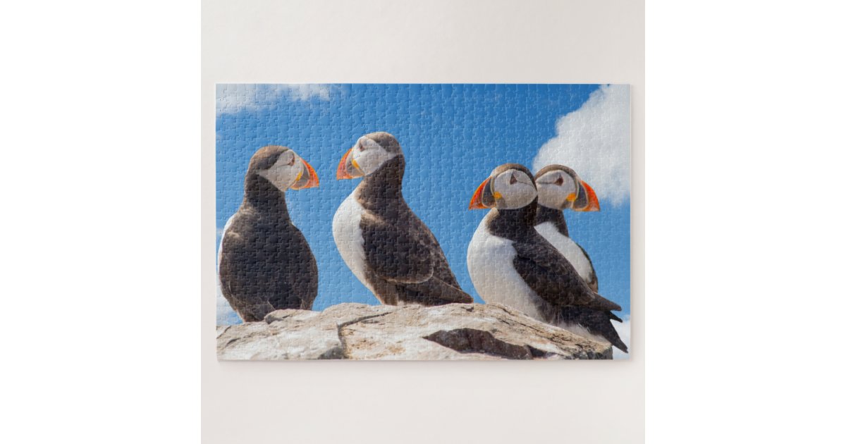 Four Puffins Standing On A Rock Jigsaw Puzzle | Zazzle