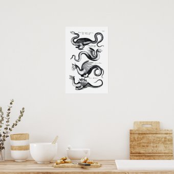 Four types of dragon poster | Zazzle
