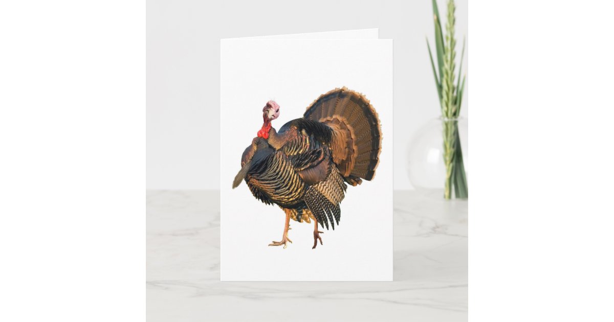 Fowl Language Holiday Card | Zazzle