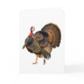 Fowl Language Holiday Card | Zazzle