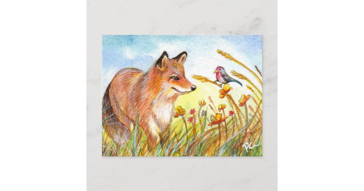 Fox And Bird In The Field Postcard | Zazzle