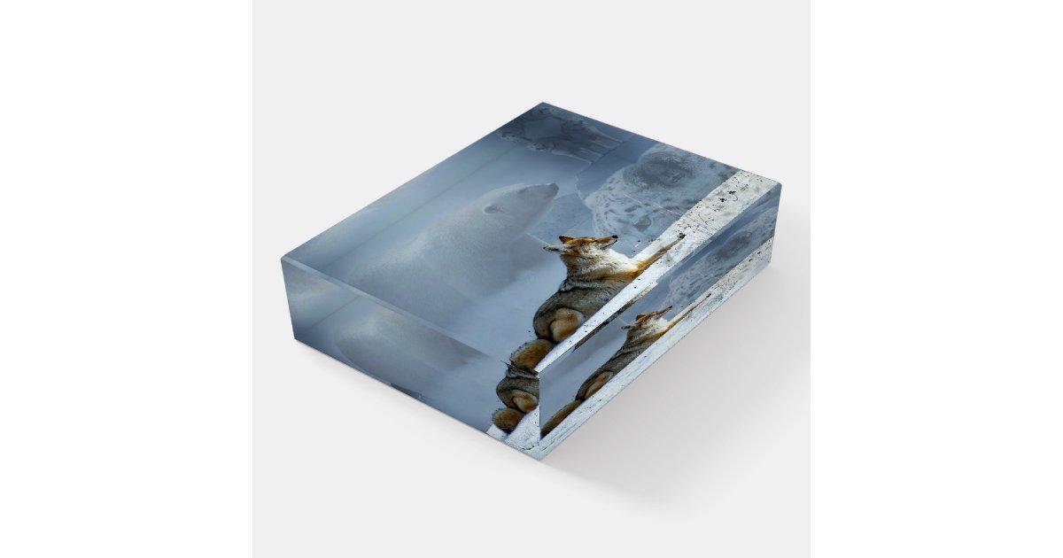 Fox and Friends Paperweight | Zazzle