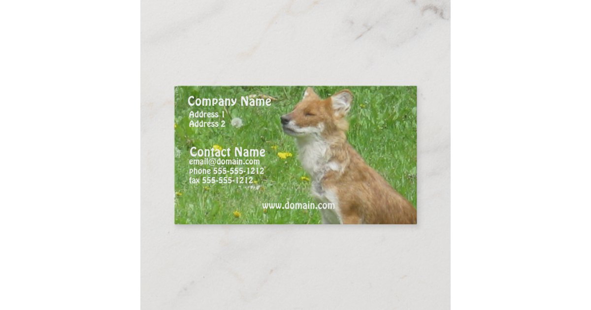 Fox Business Card | Zazzle