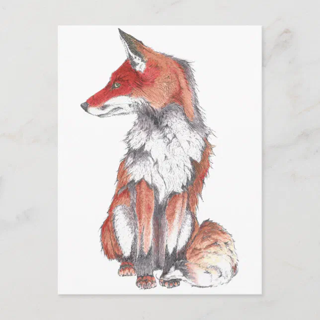 Fox by Inkspot Postcard | Zazzle
