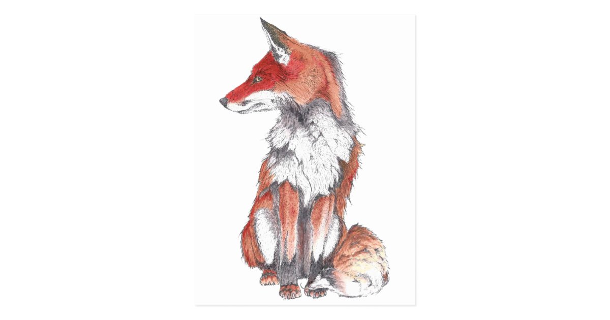 Fox by Inkspot Postcard | Zazzle.com