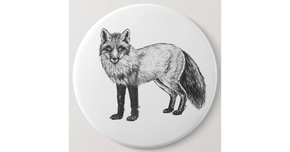 Fox drawing button | Zazzle
