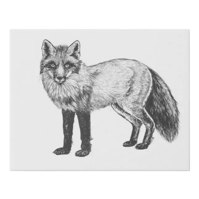 Fox drawing faux canvas print | Zazzle