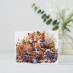 Fox Family Portrait Postcard | Zazzle