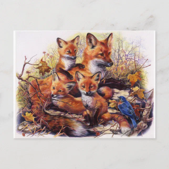 Fox Family Portrait Postcard | Zazzle
