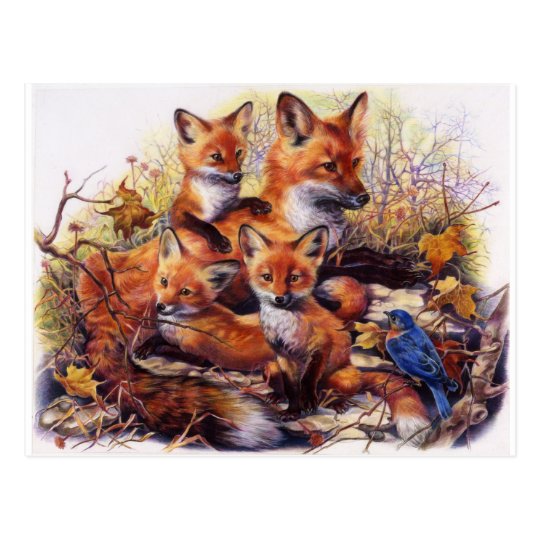 Fox Family Portrait Postcard | Zazzle.com