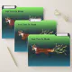 Fox Fire - Northern Lights File Folder | Zazzle