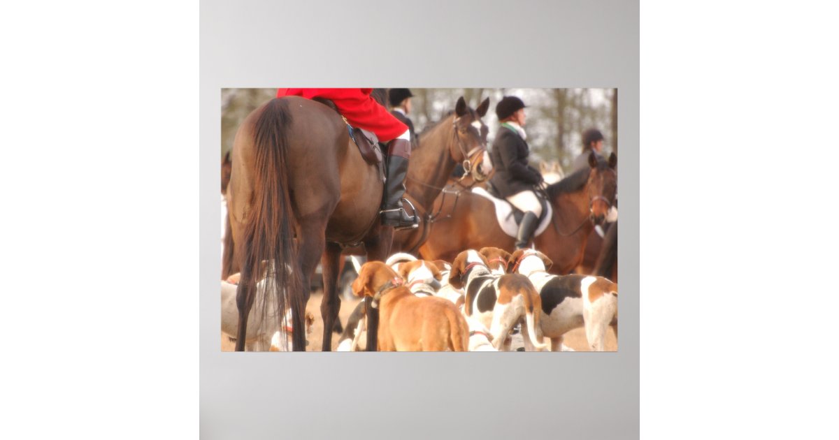 Fox Hunt Poster | Zazzle.com