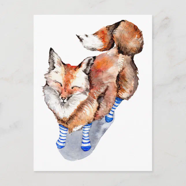 Fox in Socks Postcard | Zazzle