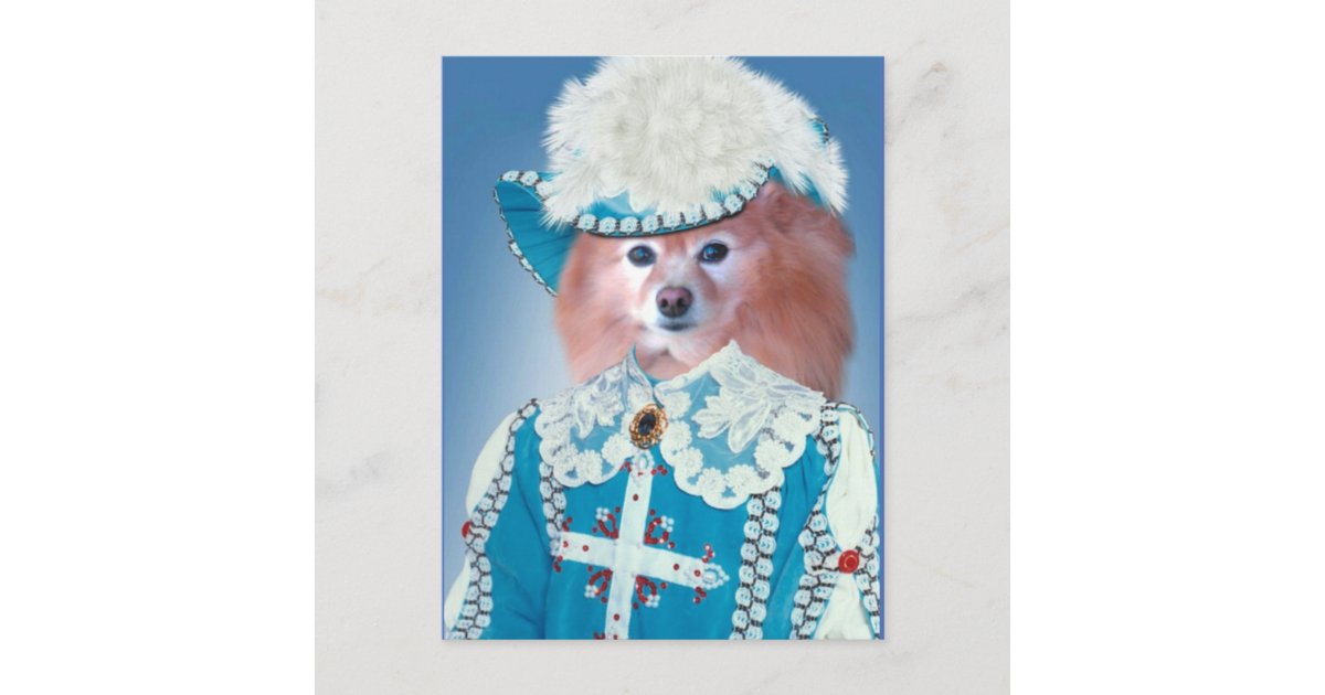 Fox Is A Musketeer Postcard | Zazzle