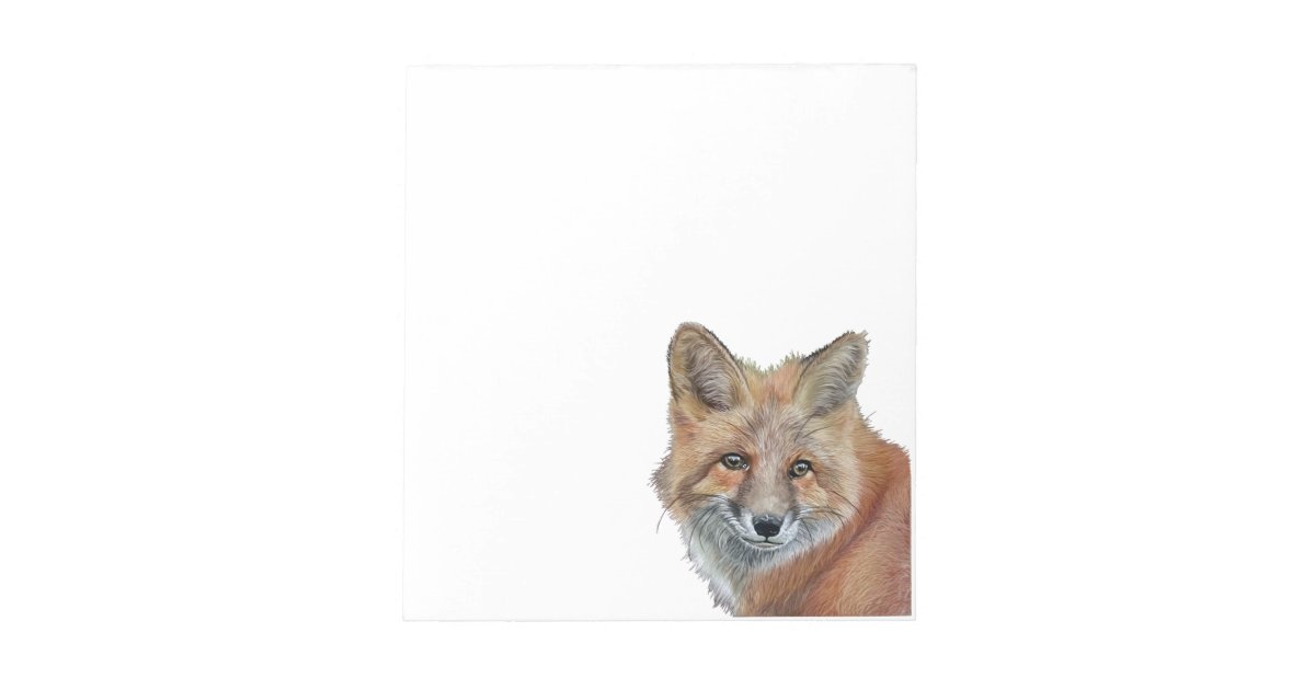 Fox note pad | Zazzle