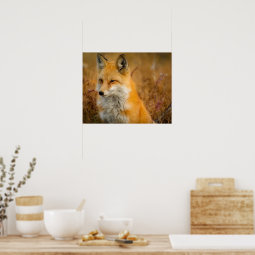 fox poster | Zazzle