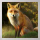 Fox Poster | Zazzle