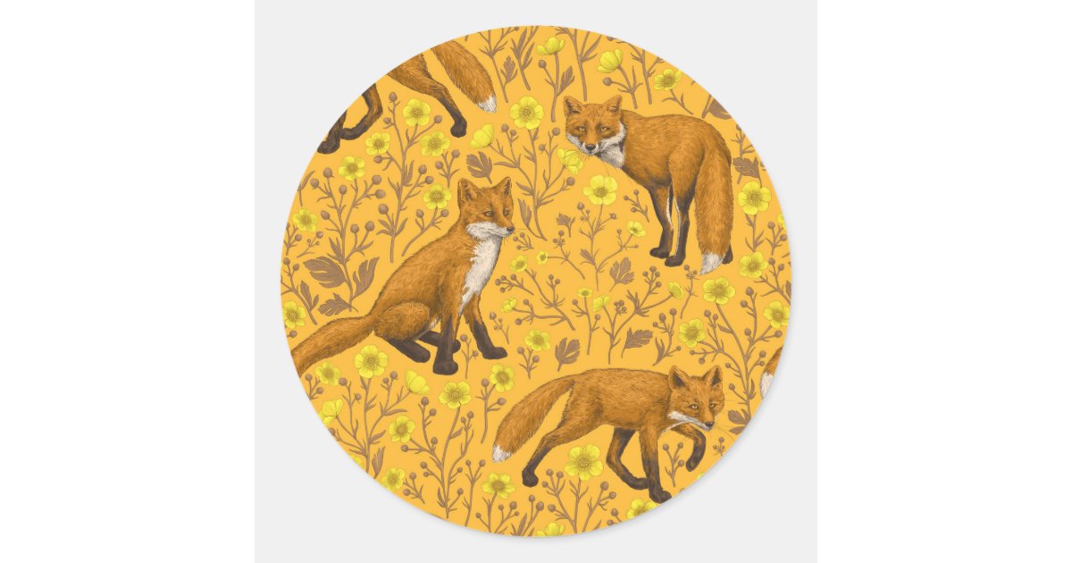 Foxes and buttercups on orange classic round sticker | Zazzle
