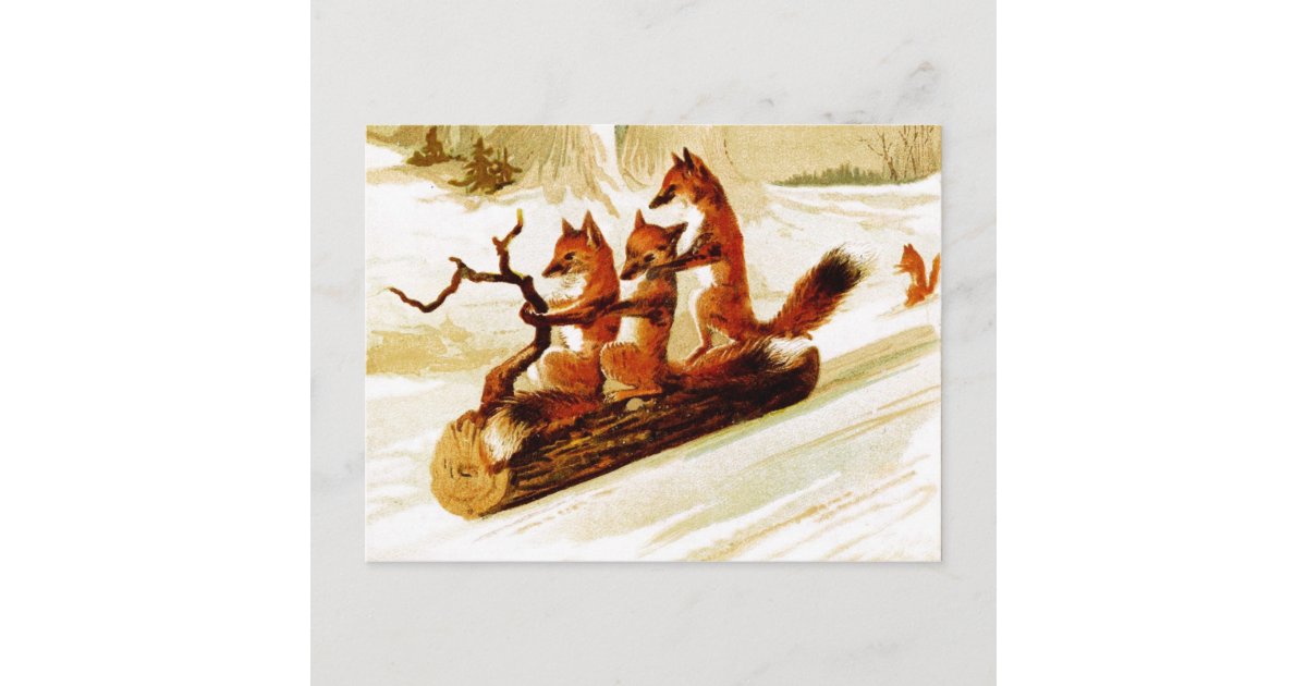 Foxes Sledding through the Snow on a Log Postcard | Zazzle