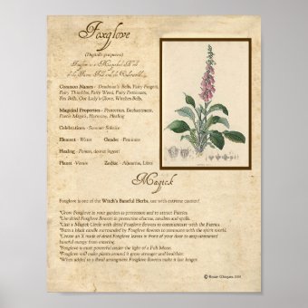 FOXGLOVE MAGICK HERB POSTER | Zazzle