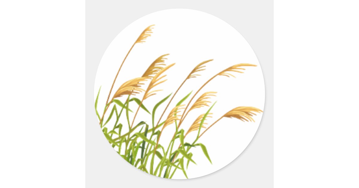Foxtail Grass Classic Round Sticker | Zazzle