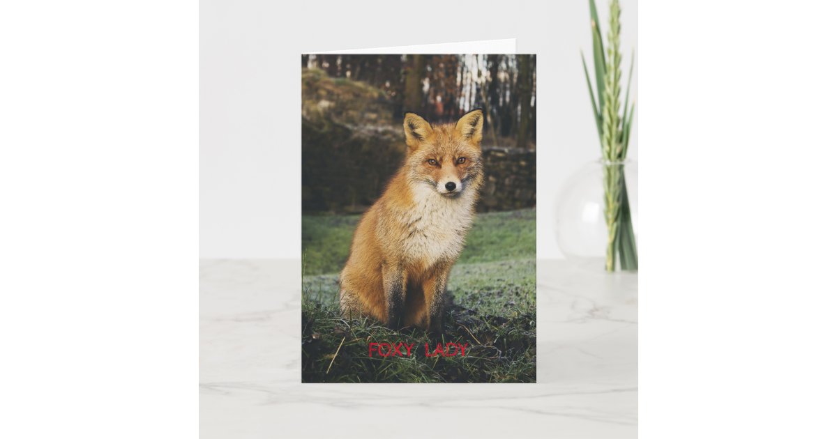 Foxy Lady Greeting Card | Zazzle