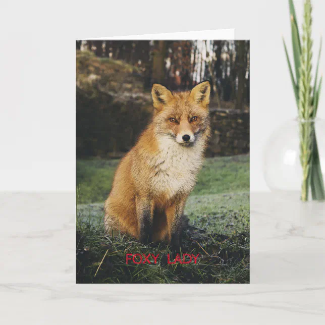 Foxy Lady Greeting Card | Zazzle