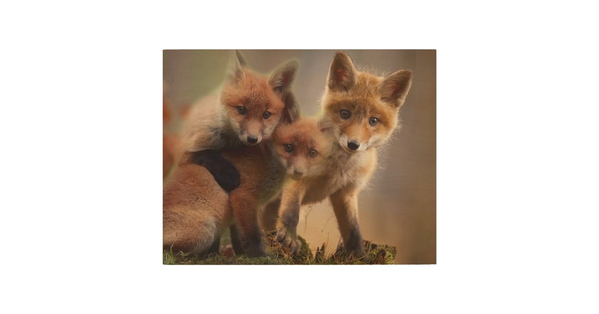 Foxy Triplets Wood Wall Art | Zazzle