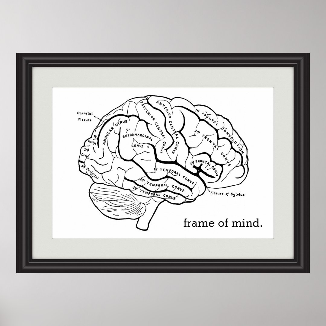 Frame of Mind Faux Frame Brain Diagram Science Poster | Zazzle