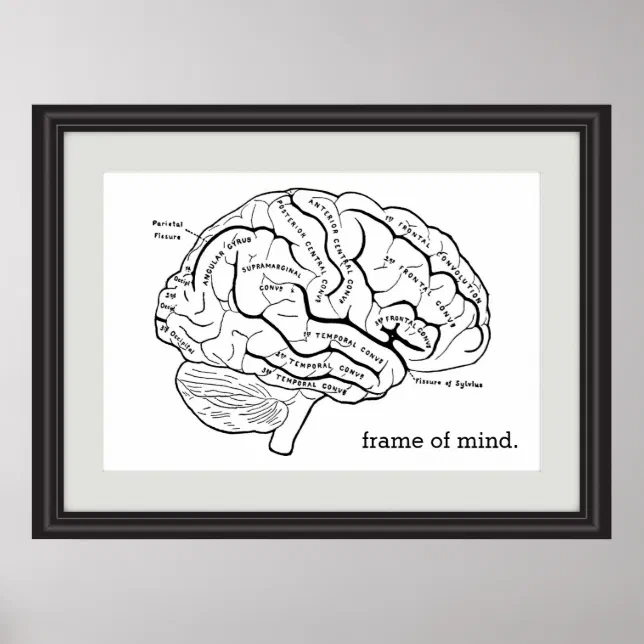 Frame of Mind Faux Frame Brain Diagram Science Poster | Zazzle