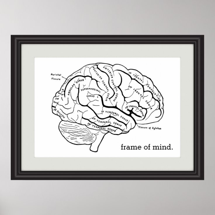 Frame of Mind Faux Frame Brain Diagram Science Poster | Zazzle