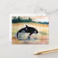 Free Orca Whale Postcard | Zazzle