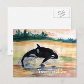 Free Orca Whale Postcard | Zazzle