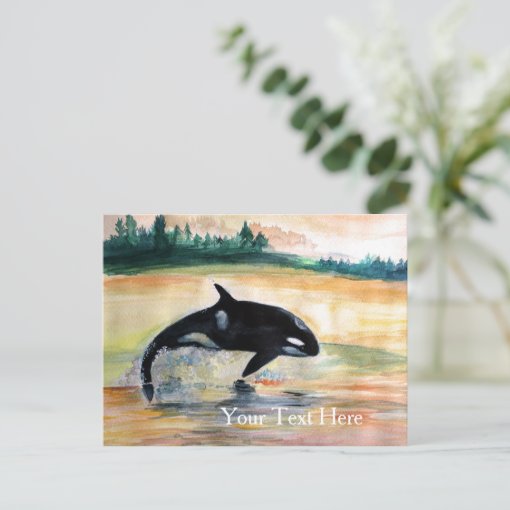 Free Orca Whale Postcard | Zazzle