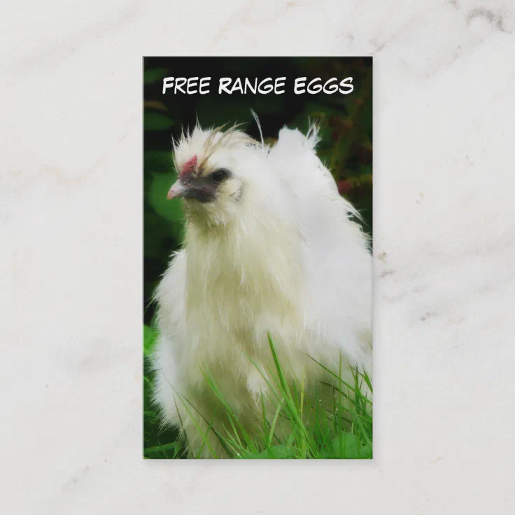 Free Range Eggs Layer or Poultry Bird Business Card | Zazzle