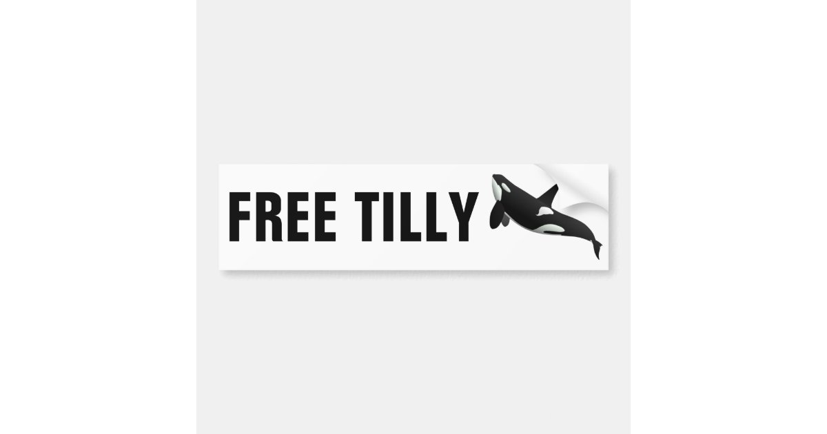 Free Tilly Bumper Sticker | Zazzle