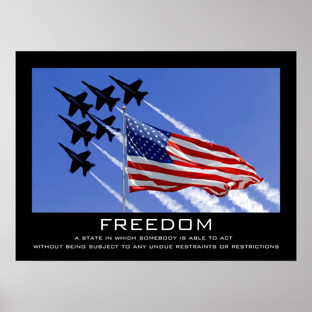Freedom Poster | Zazzle