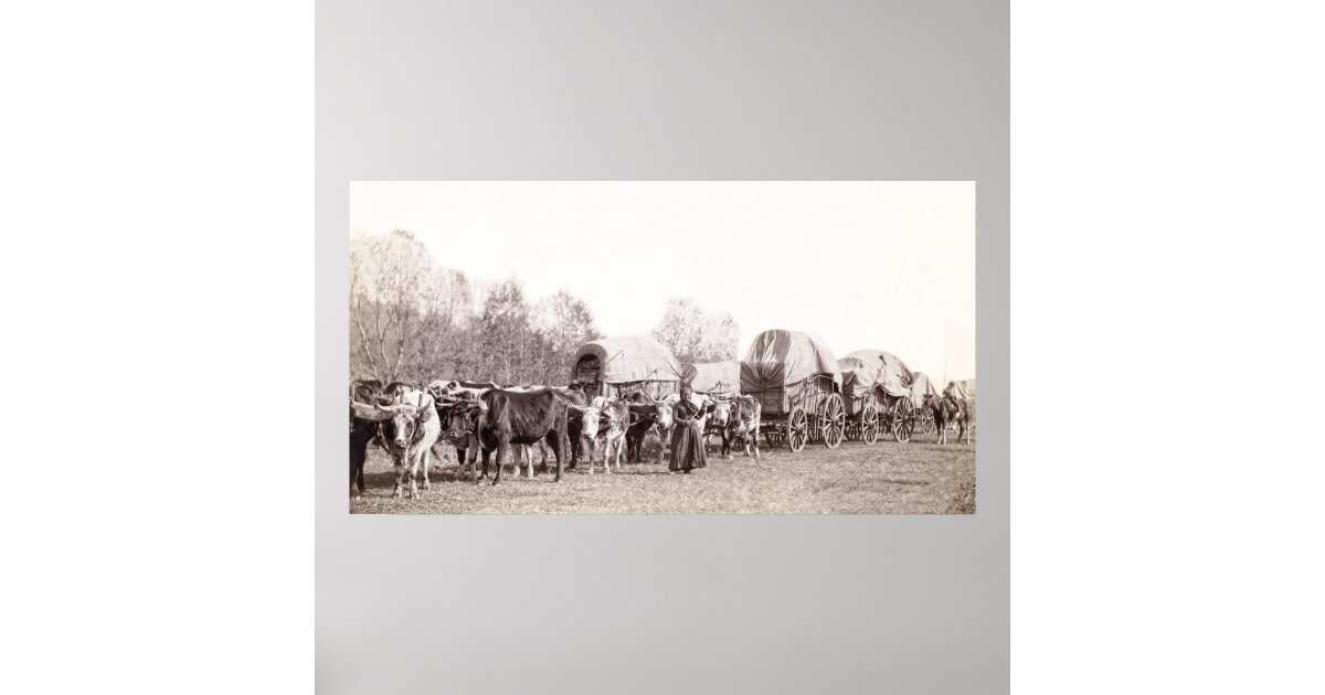 FREIGHT WAGON TRAIN c. 1887 Poster | Zazzle