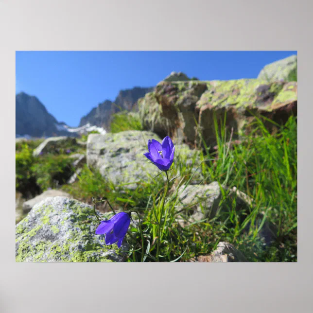 French Alps Poster | Zazzle