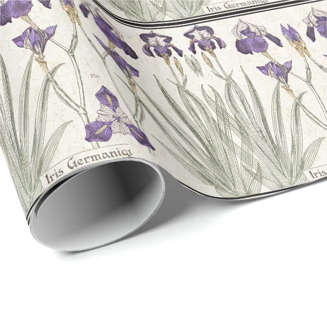 French Art Nouveau Iris Flowers Wrapping Paper | Zazzle