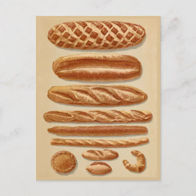 French Breads vintage illustrations chart Postcard | Zazzle
