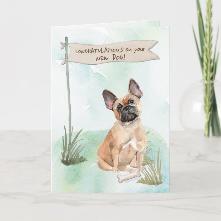 French Bulldog Congratulations on New Dog Card | Zazzle.com