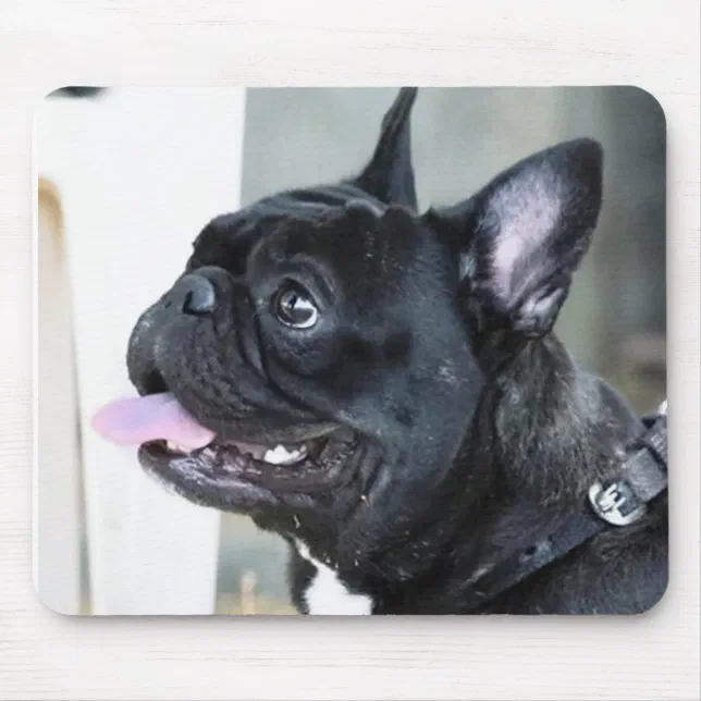 French bulldog dog mouse pad | Zazzle
