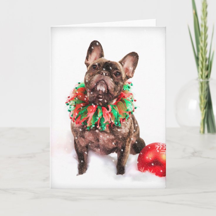 French Bulldog Frenchie Christmas Card | Zazzle