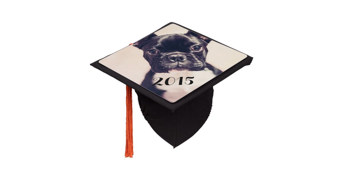 French Bulldog Graduation Cap Topper | Zazzle