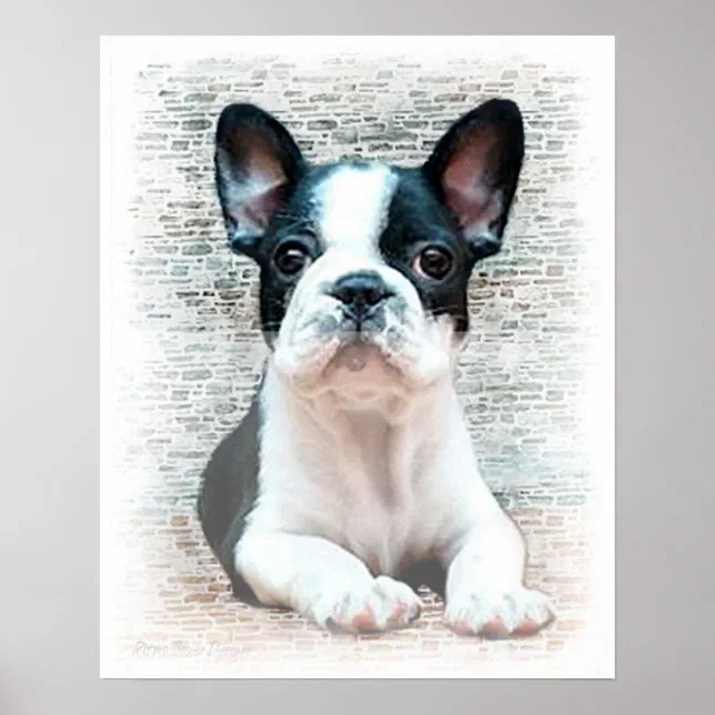French bulldog poster | Zazzle