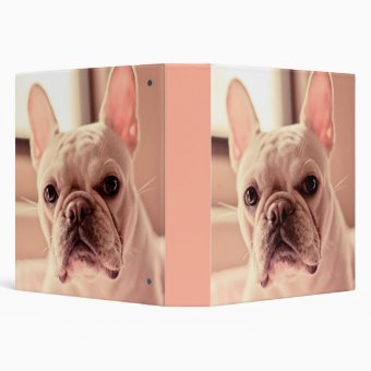 French Bulldog Puppy 3 Ring Binder | Zazzle