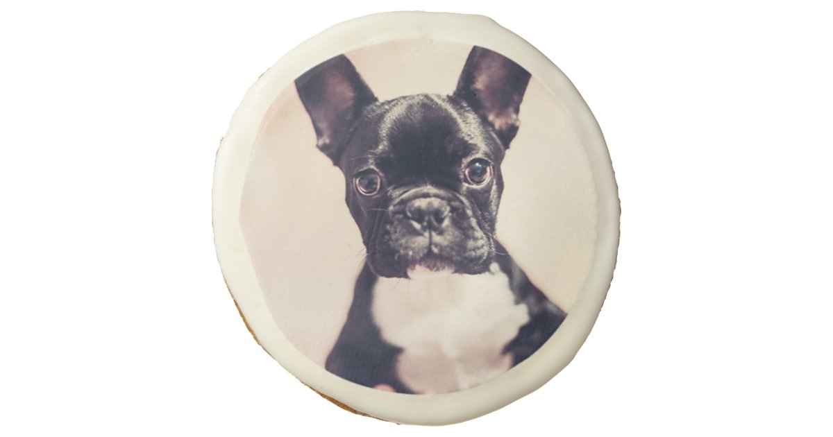 French bulldog sugar cookie | Zazzle