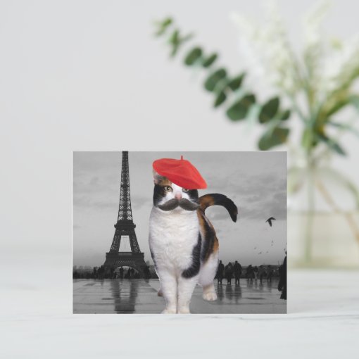 French Cat in Paris Postcard | Zazzle