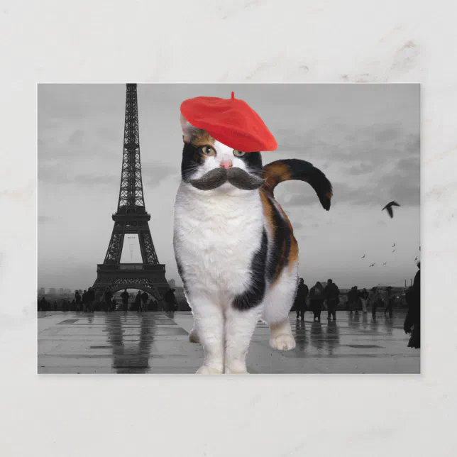 French Cat in Paris Postcard | Zazzle